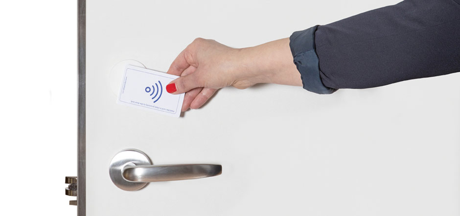 CruiseandFerry.net > articles